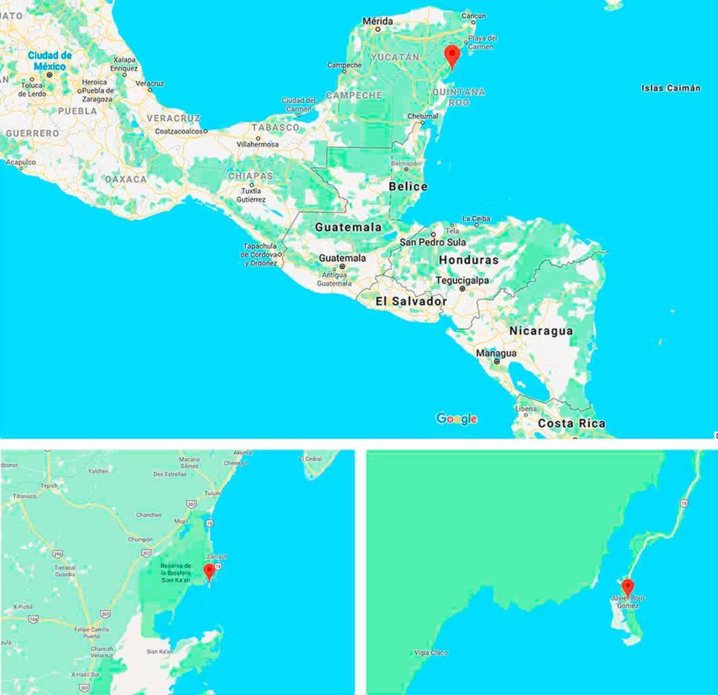 Punta Allen: la parte más viva de Sian Kaan | Exotik Mayan Tours